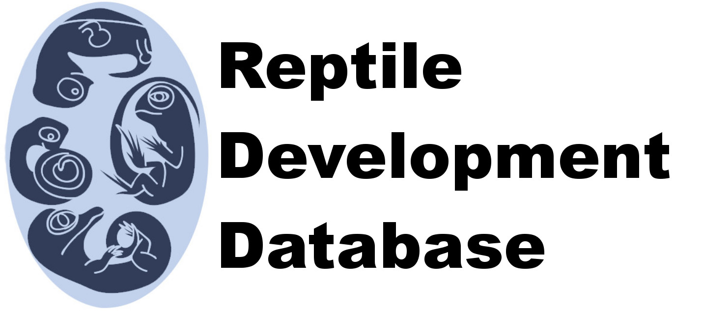 Reptile Development Database – A comprehensive dataset of studies on reptile developmental plasticty
